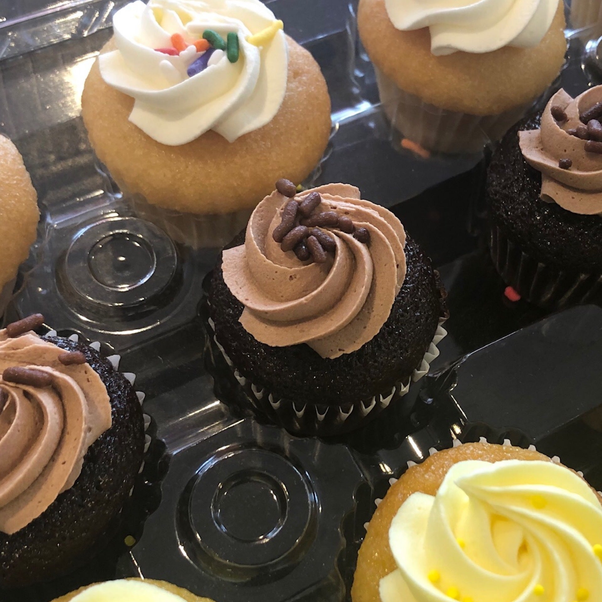 Mini Cupcakes - 12 Pack | BAM Desserts
